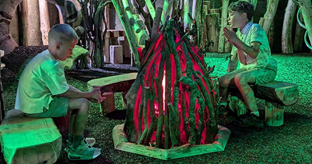 The Magical Wood Immersive Play Area - Knockhatch Adventure Park