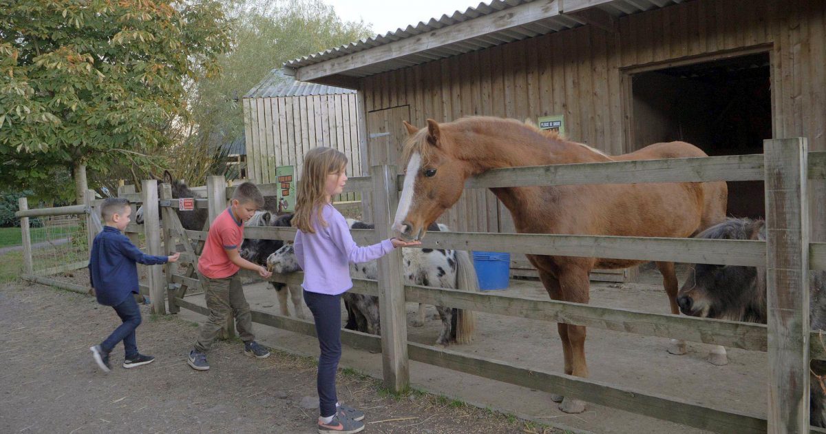 Best Animal Keeper Experience in South East | Best Animal Keeper ...