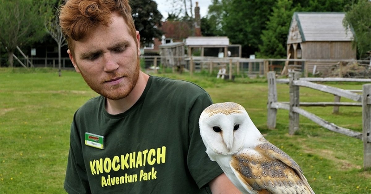 Barn Owl | Knockhatch Adventure Park - Knockhatch Adventure Park