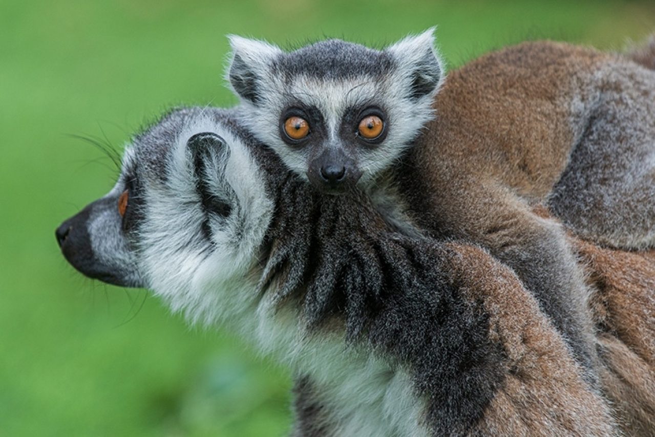 Home | Knockhatch Adventure Park - Knockhatch Adventure Park