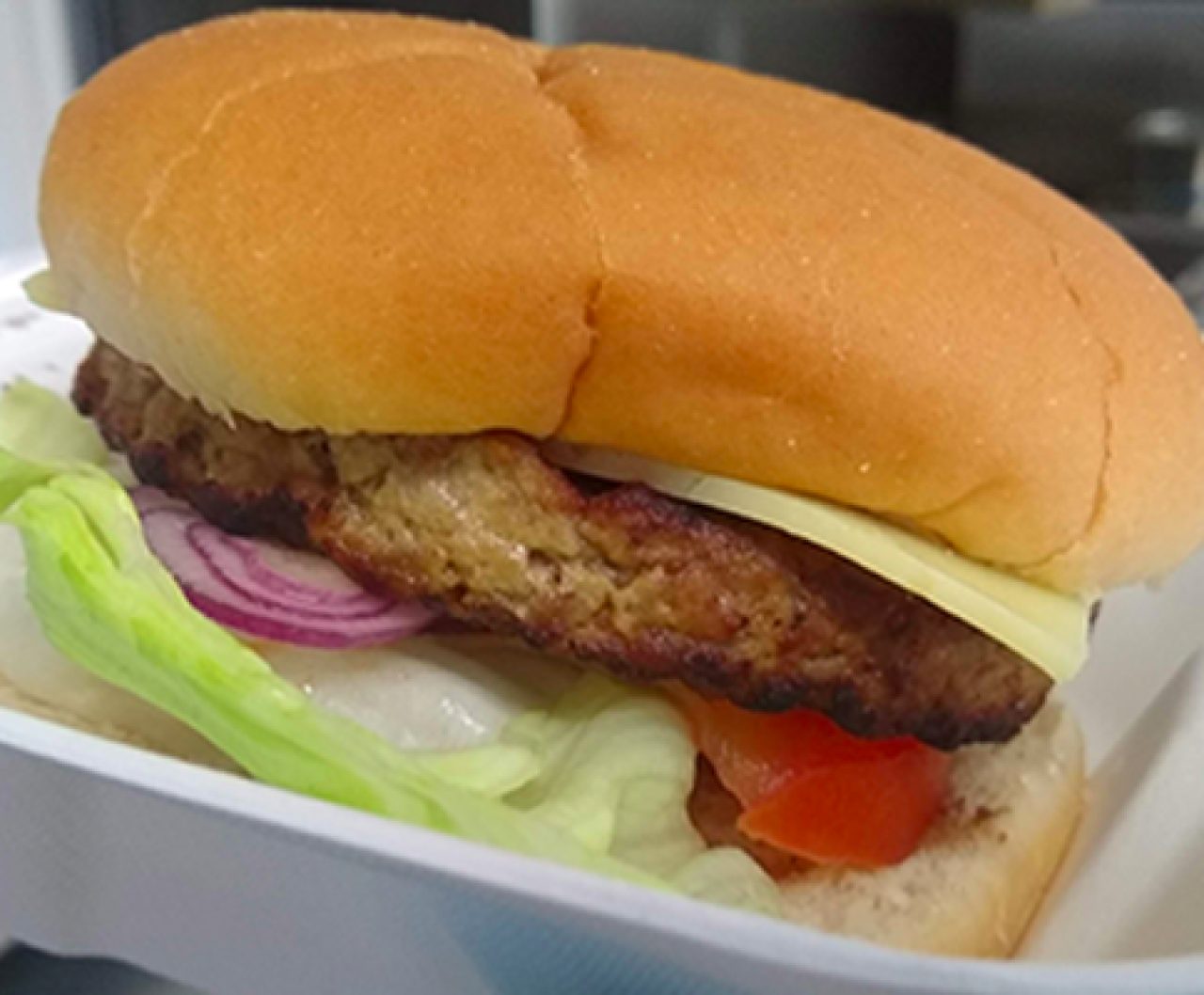 celebration birthday venue Eastbourne | Best kid's zoo birthhday party ...