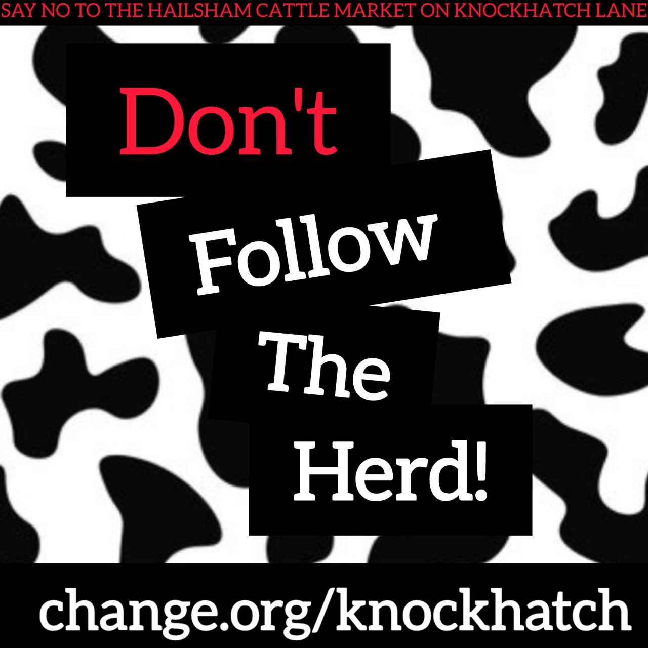 Best family day out in South East | things to do with the kids in East ...