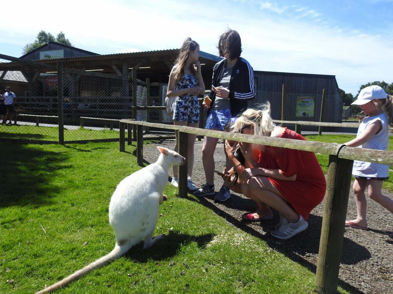 Best family day out in South East | things to do with the kids in East ...