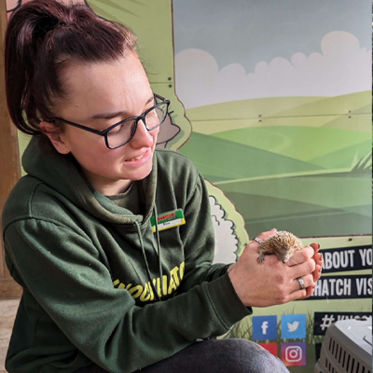 Best Animal Encounters in South East | Best Animal Encounters in East ...