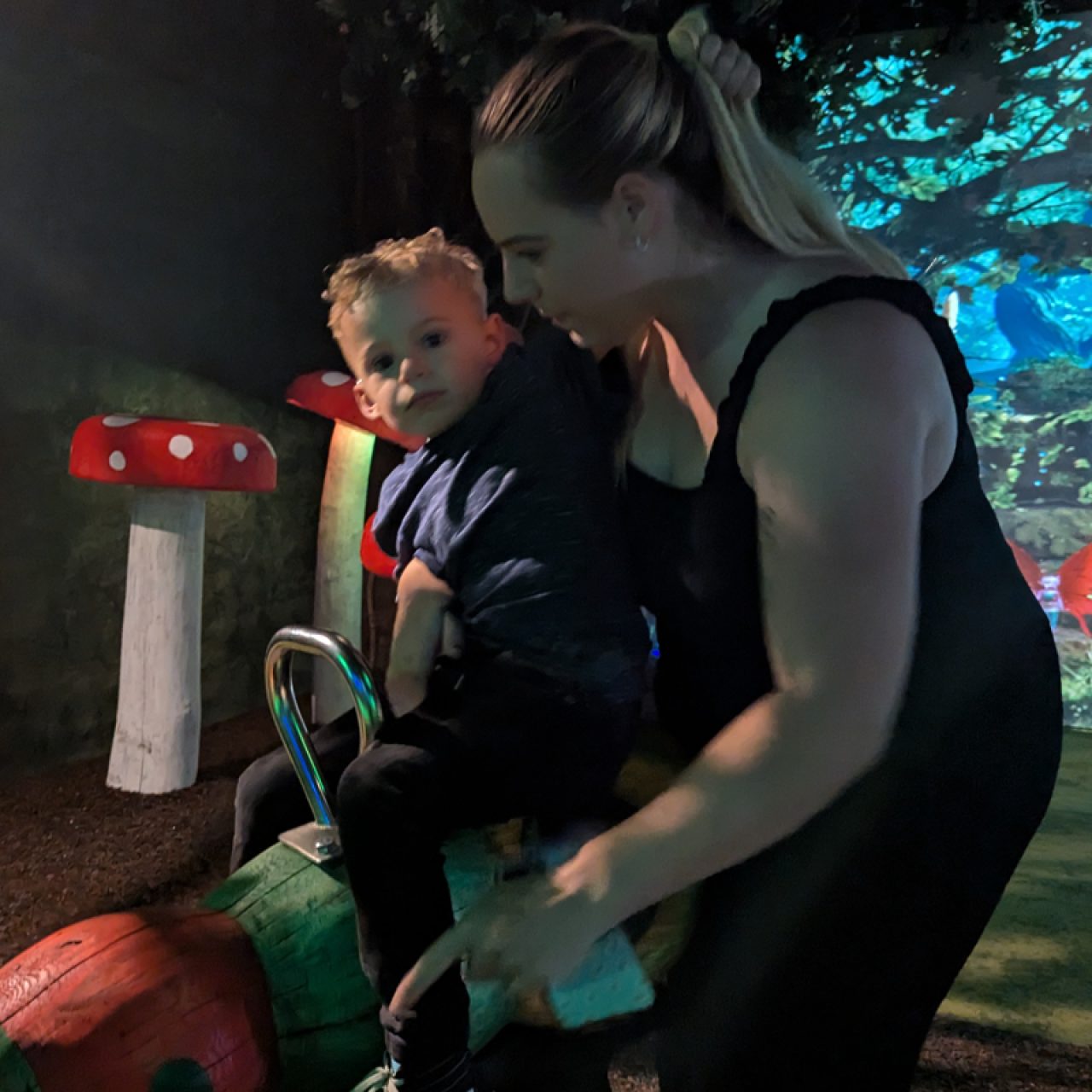 The Magical Wood Immersive Play Area - Knockhatch Adventure Park