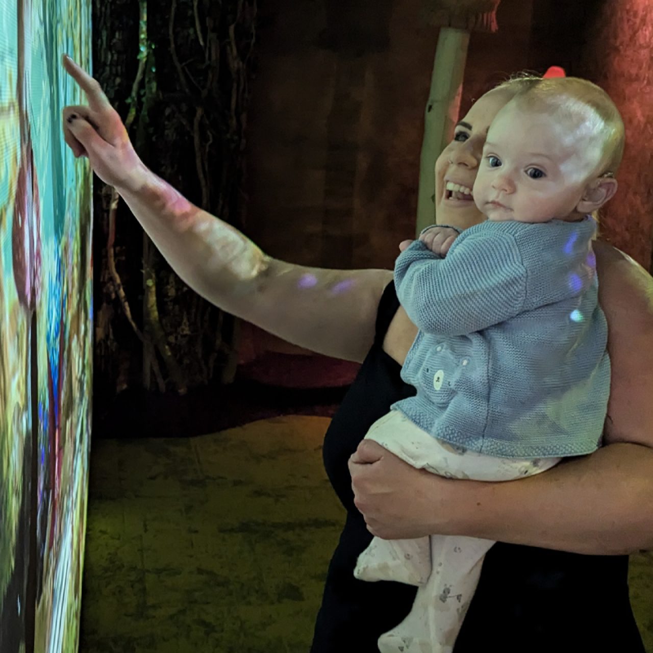 The Magical Wood Immersive Play Area - Knockhatch Adventure Park