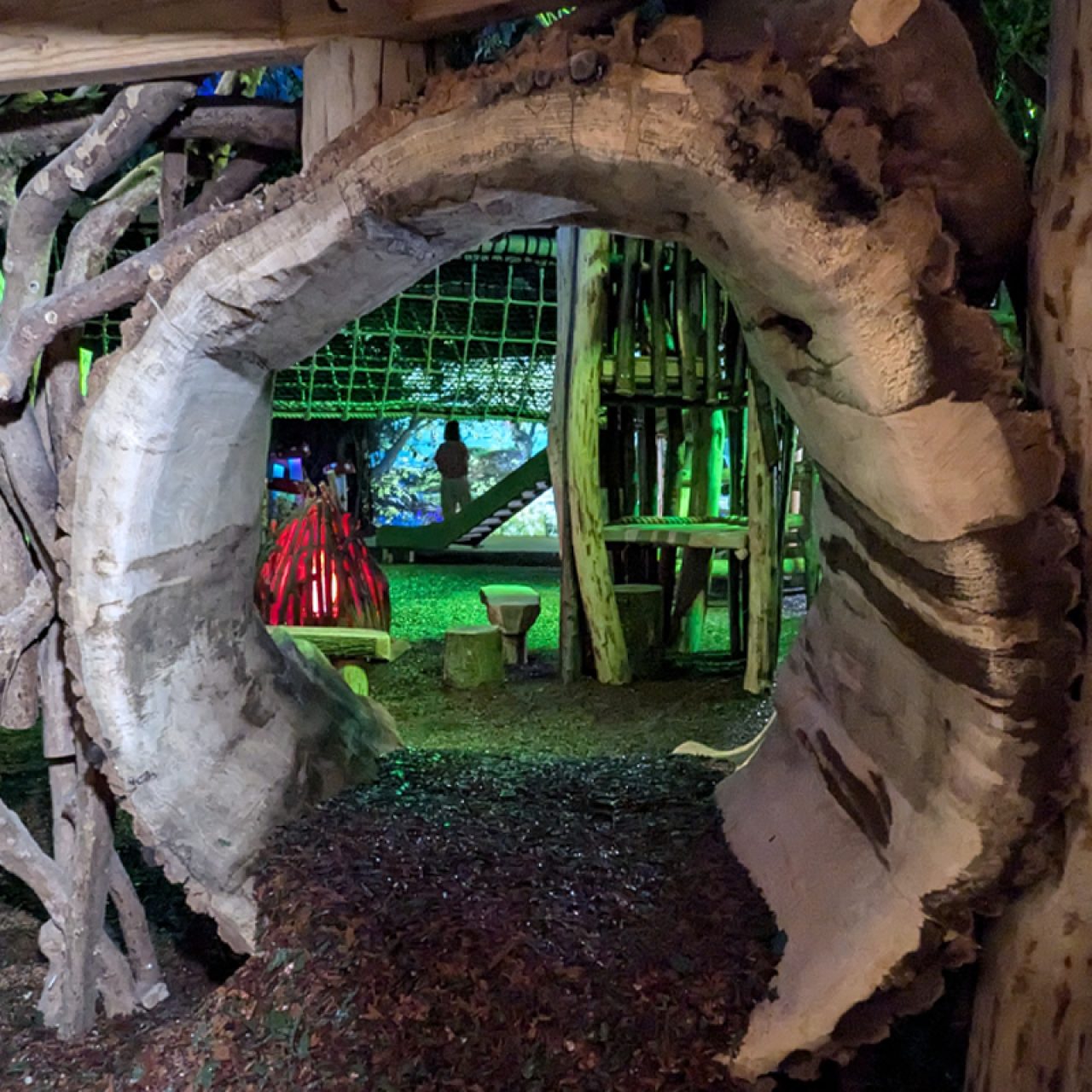 The Magical Wood Immersive Play Area - Knockhatch Adventure Park