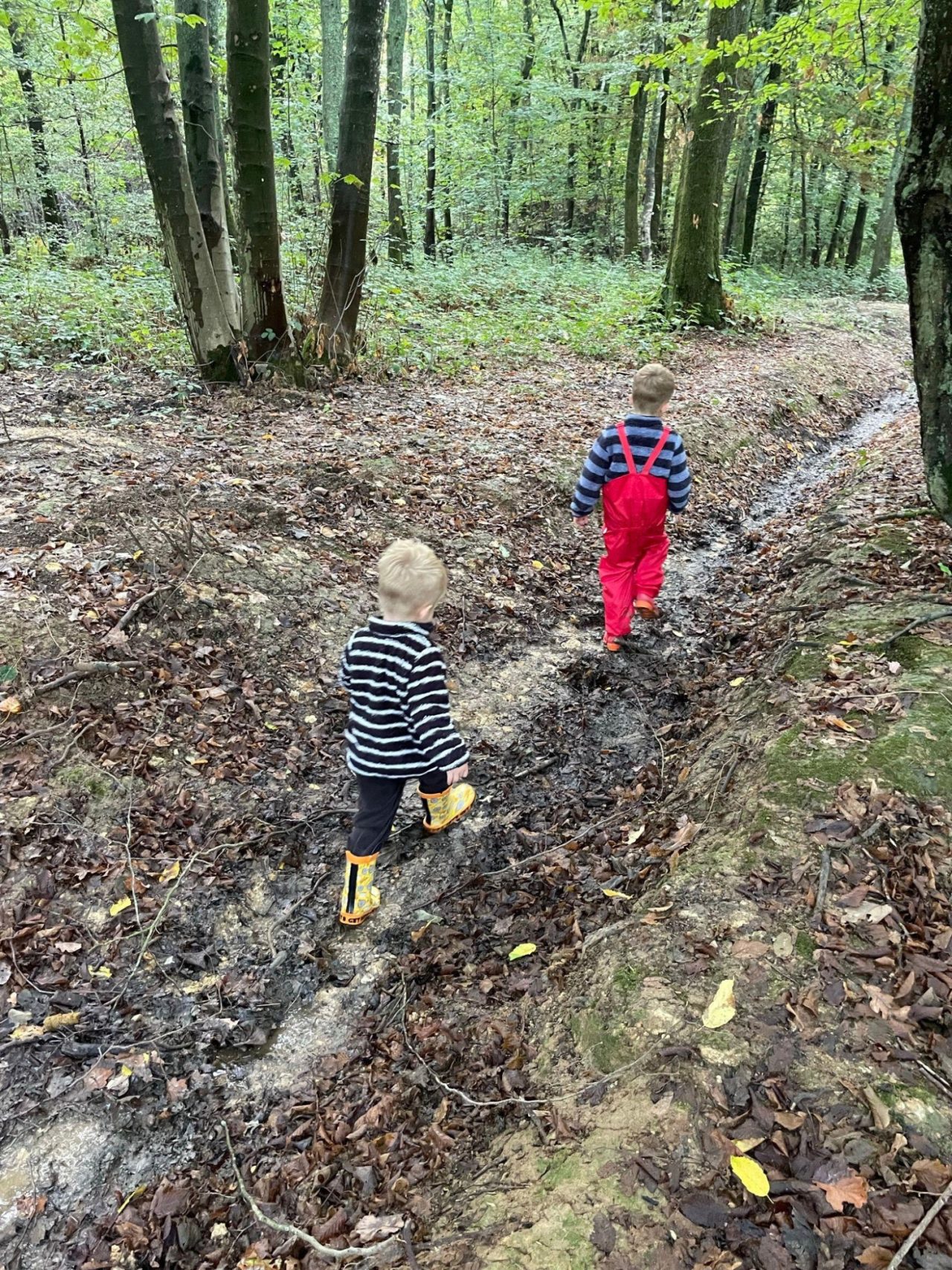 Forest School - Knockhatch Adventure Park