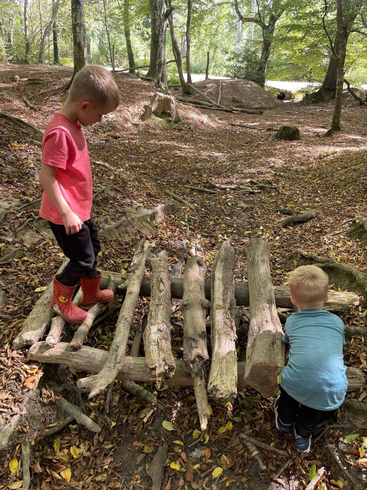 Forest School - Knockhatch Adventure Park