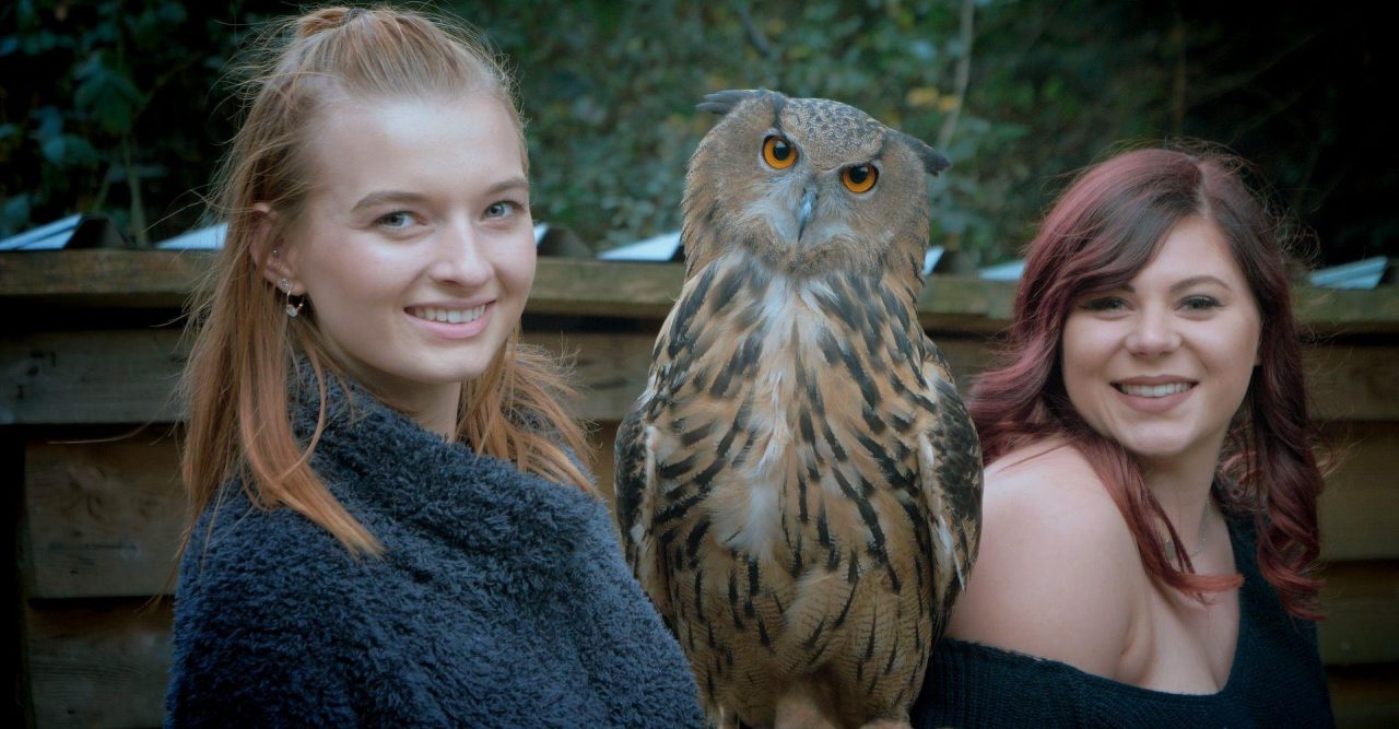 Price & Book | Knockhatch Adventure Park - Knockhatch Adventure Park