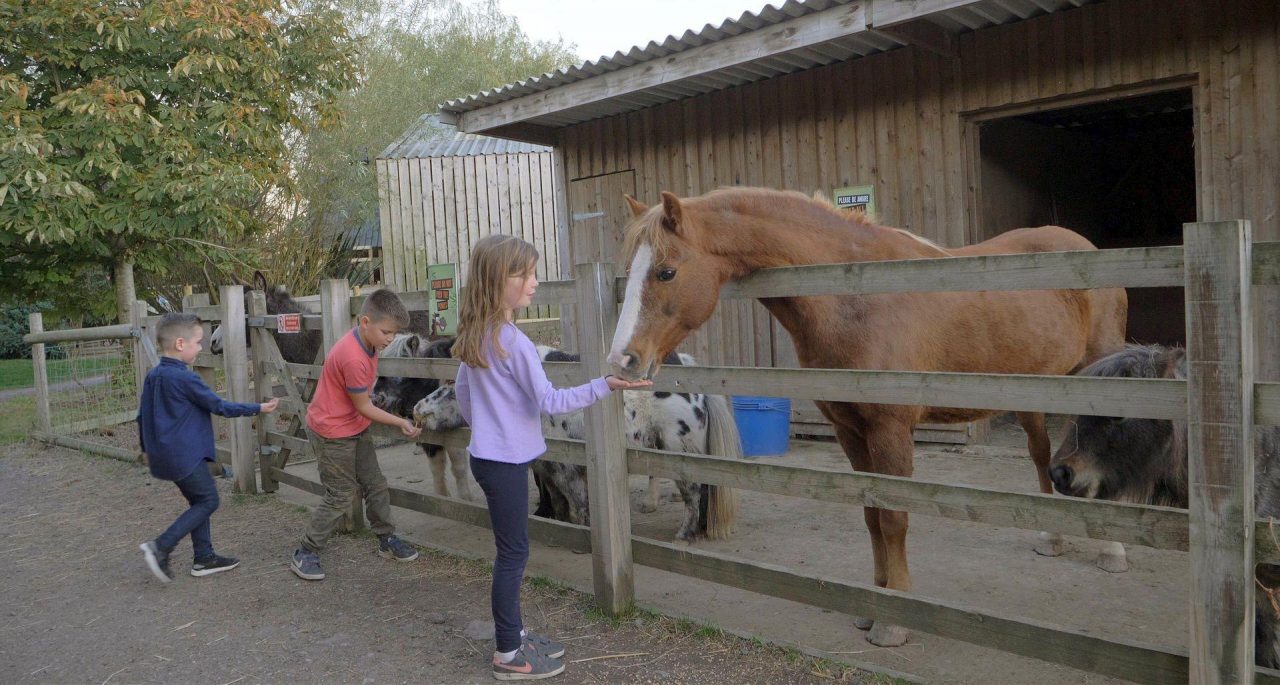 Price & Book | Knockhatch Adventure Park - Knockhatch Adventure Park