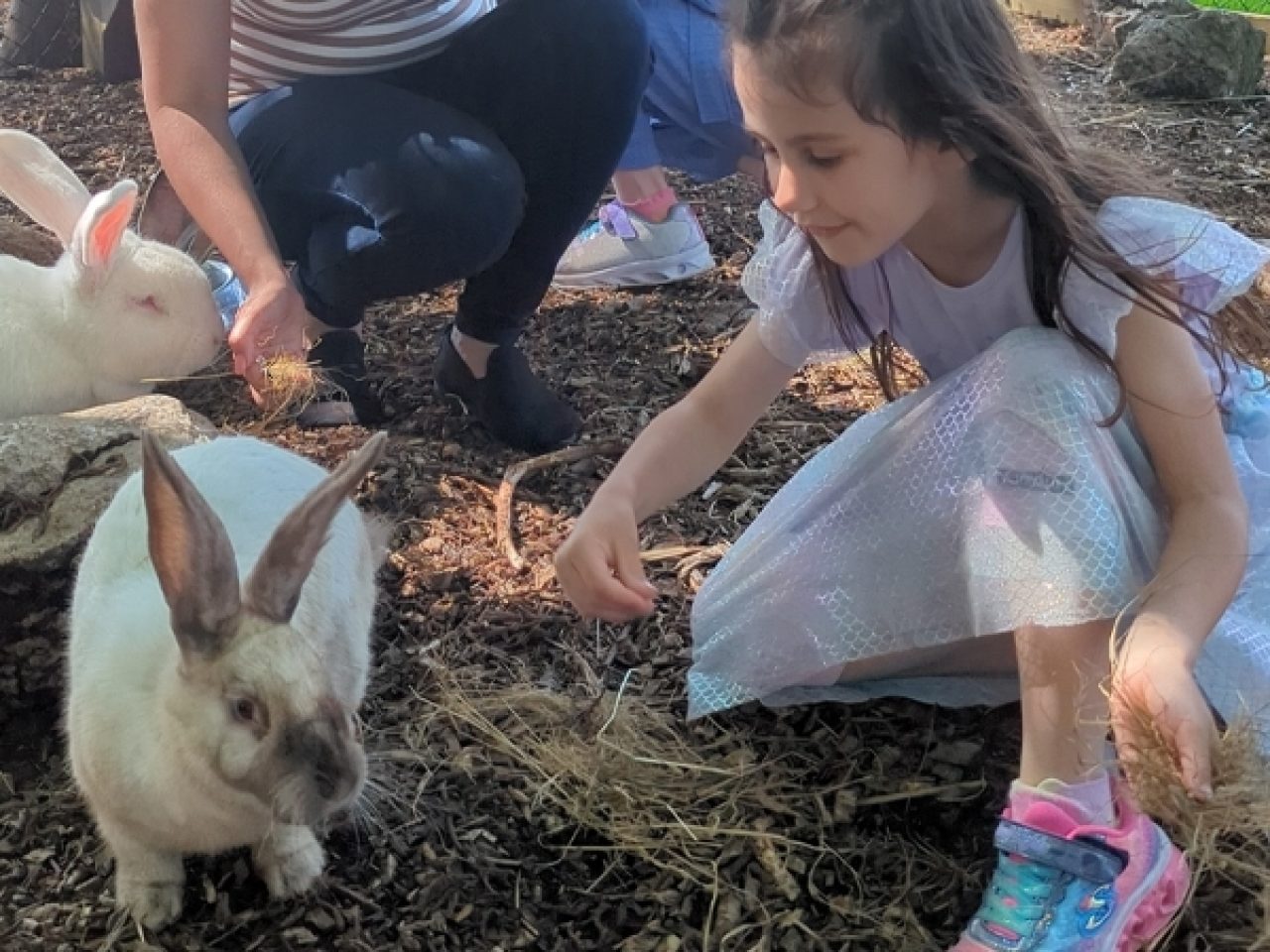 Animals | Knockhatch Adventure Park - Knockhatch Adventure Park