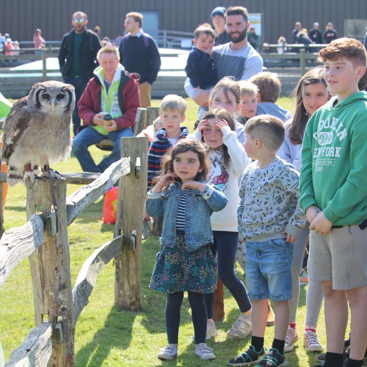 Father's Day - Knockhatch Adventure Park