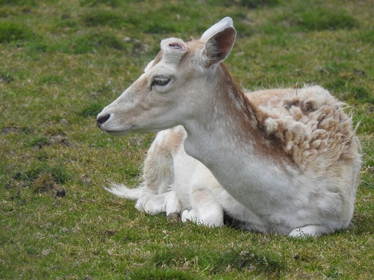 Animal Keeper Experience | Knockhatch Adventure Park - Knockhatch ...