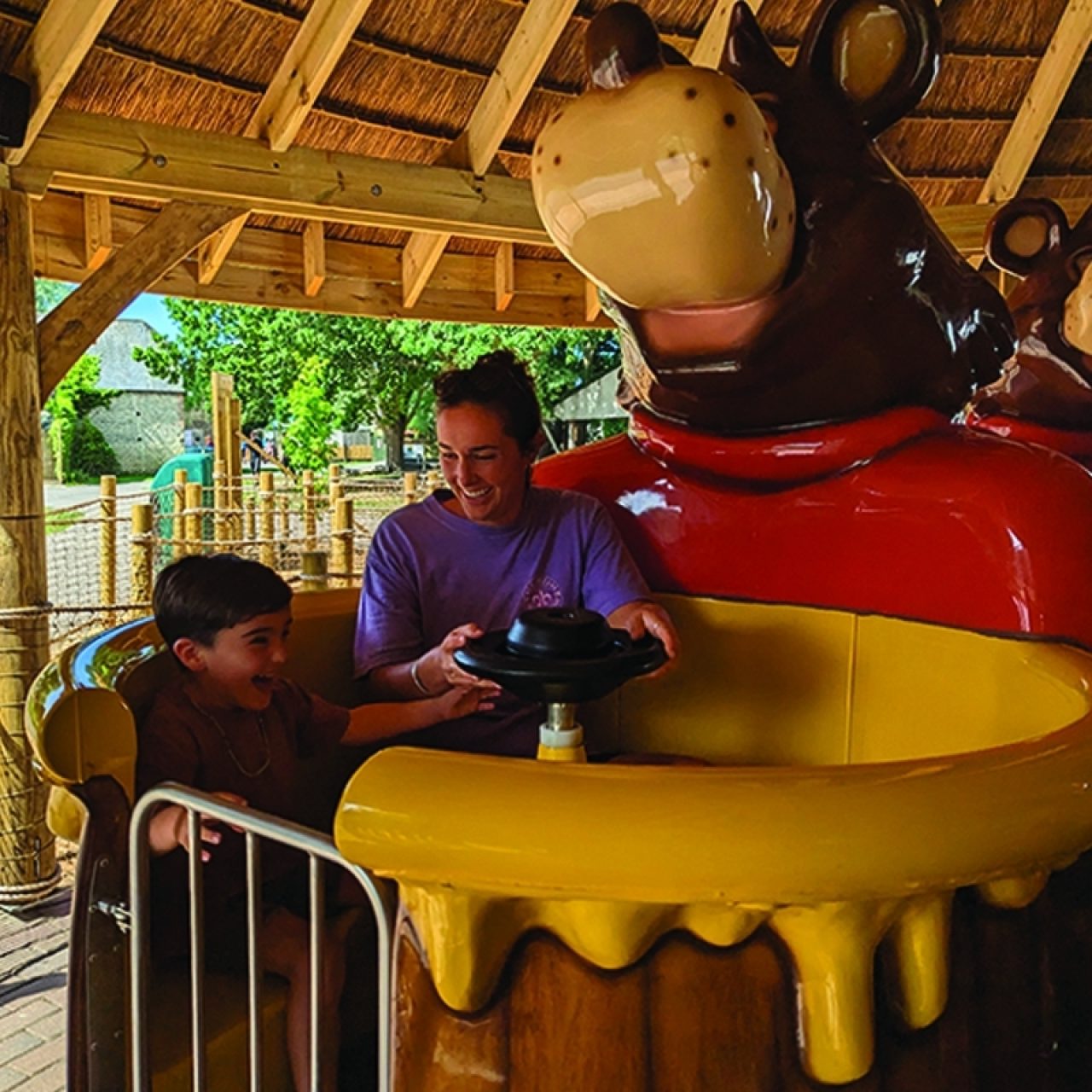 Honeypot Bears | Knockhatch Adventure Park - Knockhatch Adventure Park