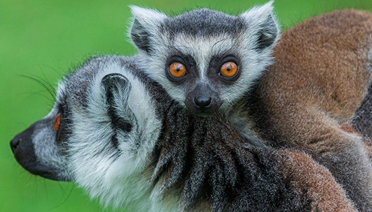 Summer Fun! - Knockhatch Adventure Park