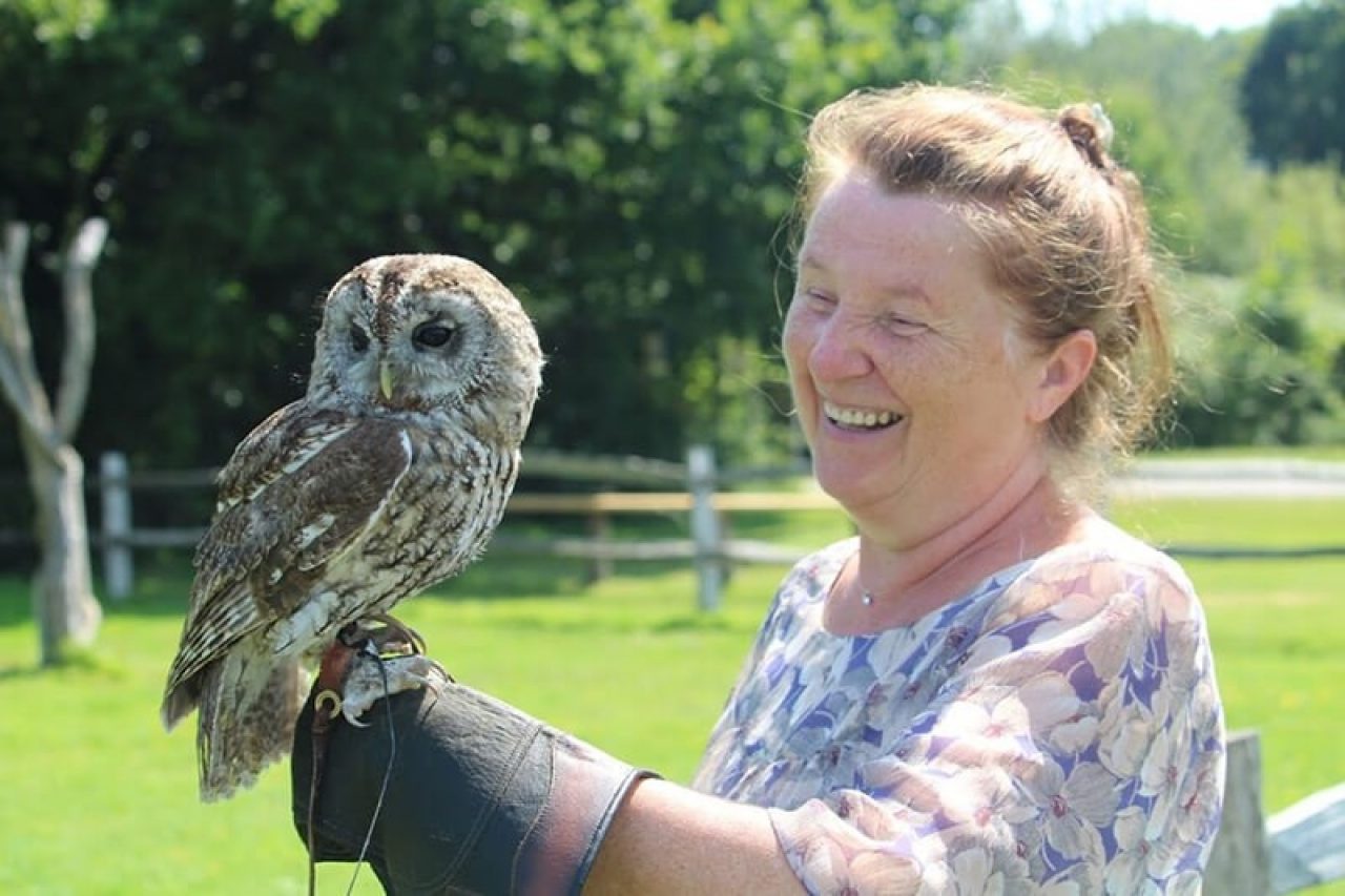 Home | Knockhatch Adventure Park - Knockhatch Adventure Park