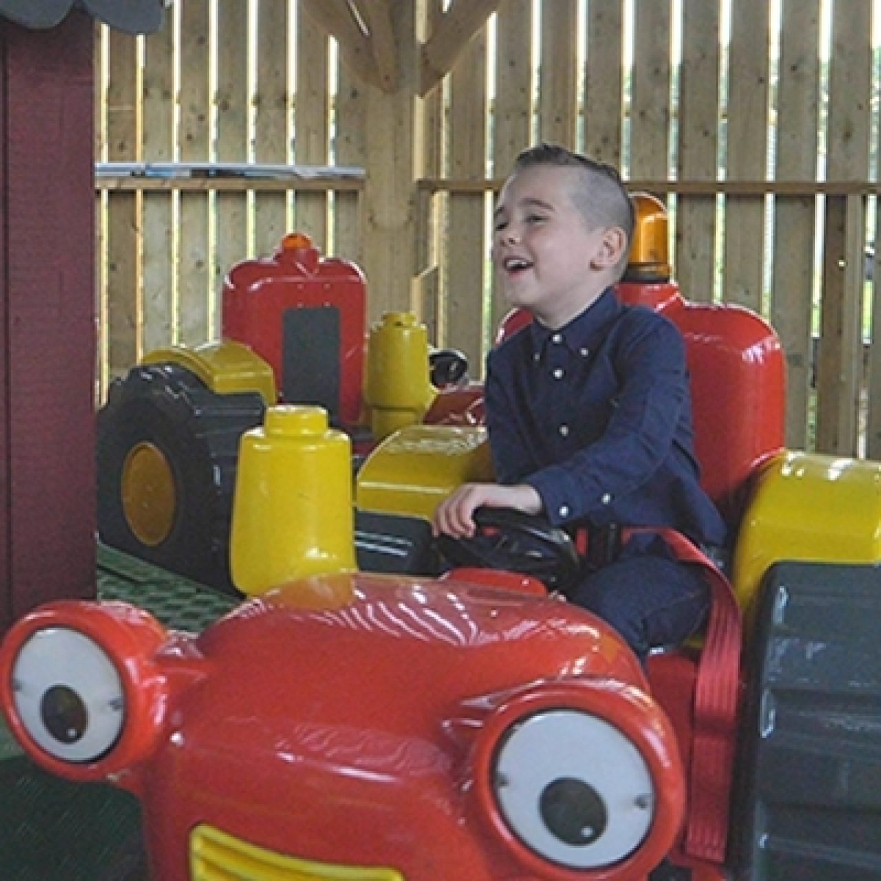 Best children's farm rides in South East | Best children's farm rides ...